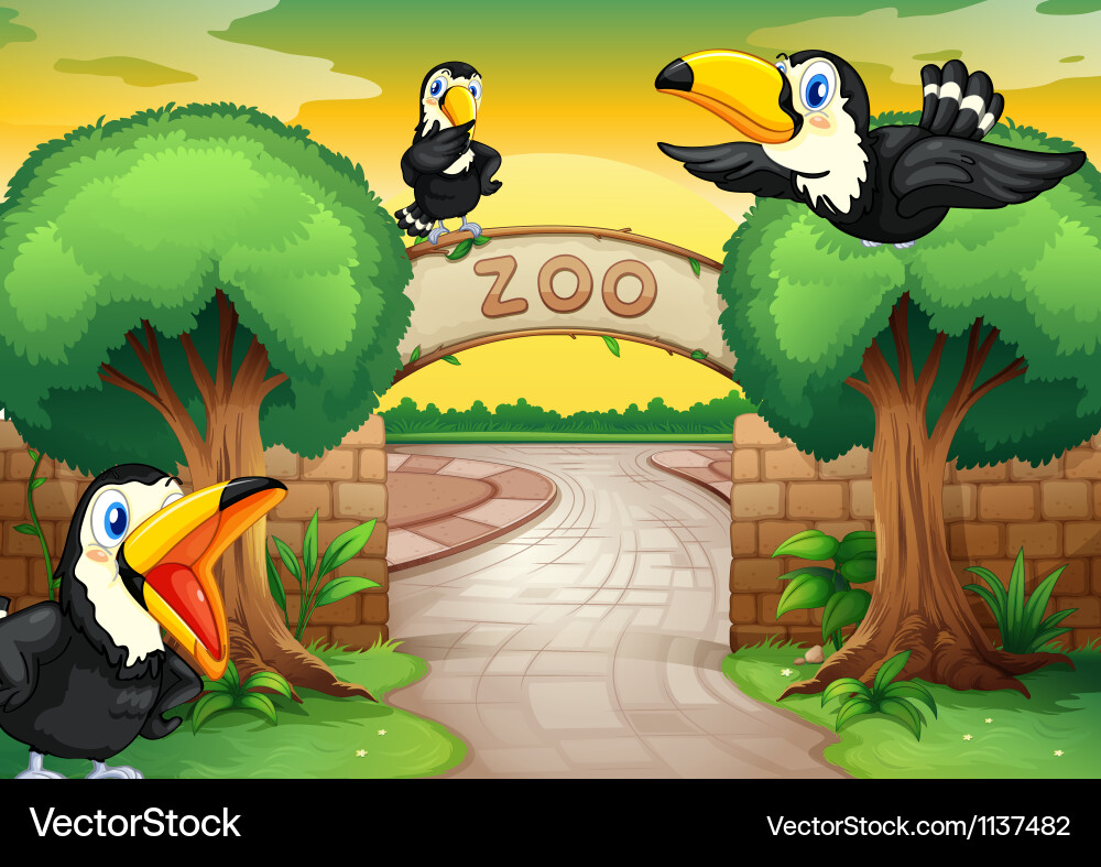 Zoo and birds Royalty Free Vector Image - VectorStock