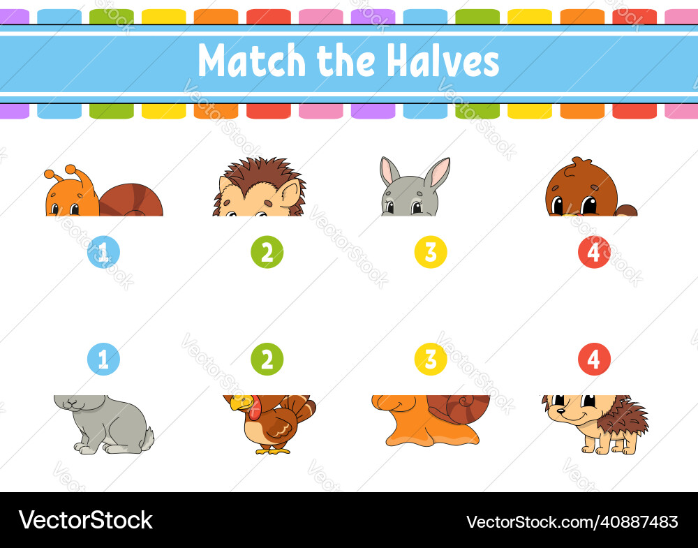 Match the halves education developing worksheet Vector Image