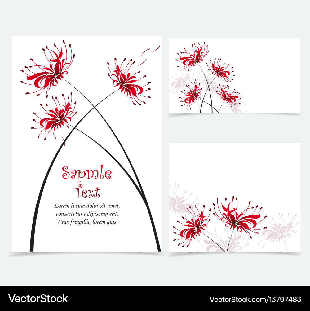 Red flower lycoris Royalty Free Vector Image - VectorStock