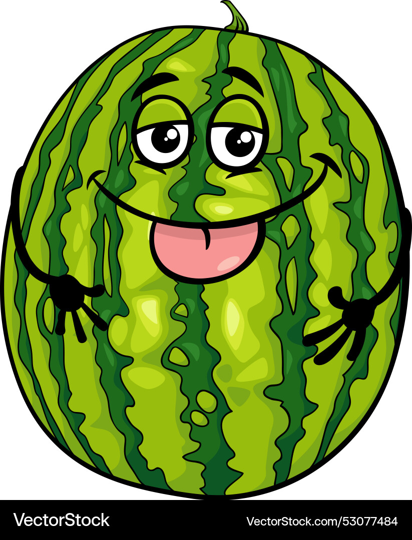 Funny watermelon fruit character cartoon Vector Image