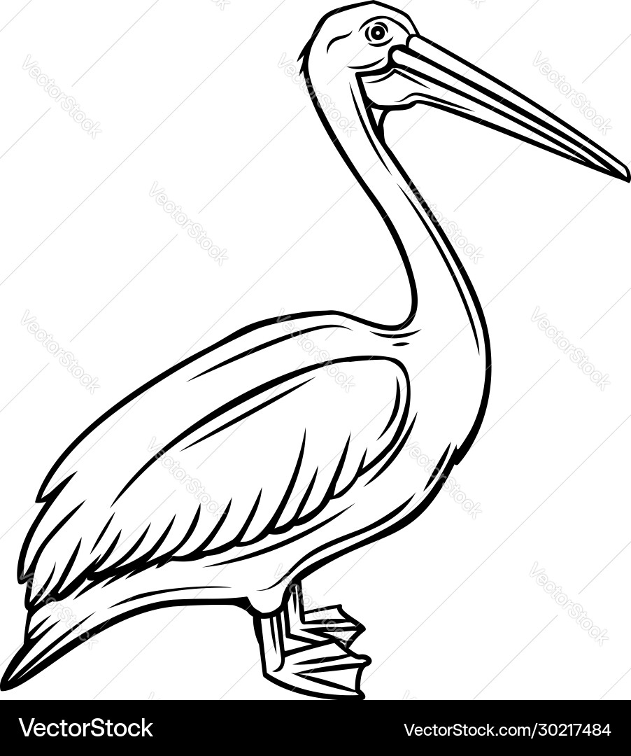 Pelican outline icon Royalty Free Vector Image