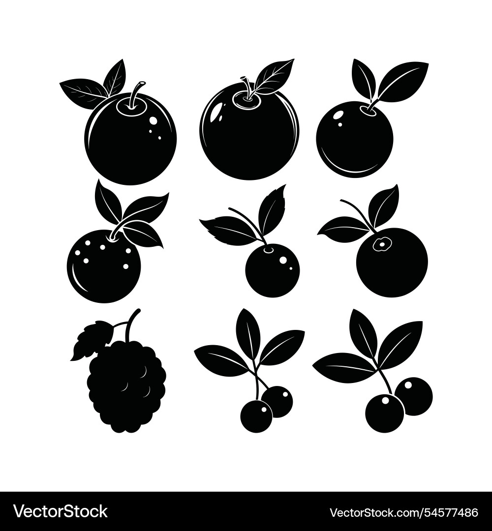 Cherry raspberry blueberry blackberry strawberry Vector Image