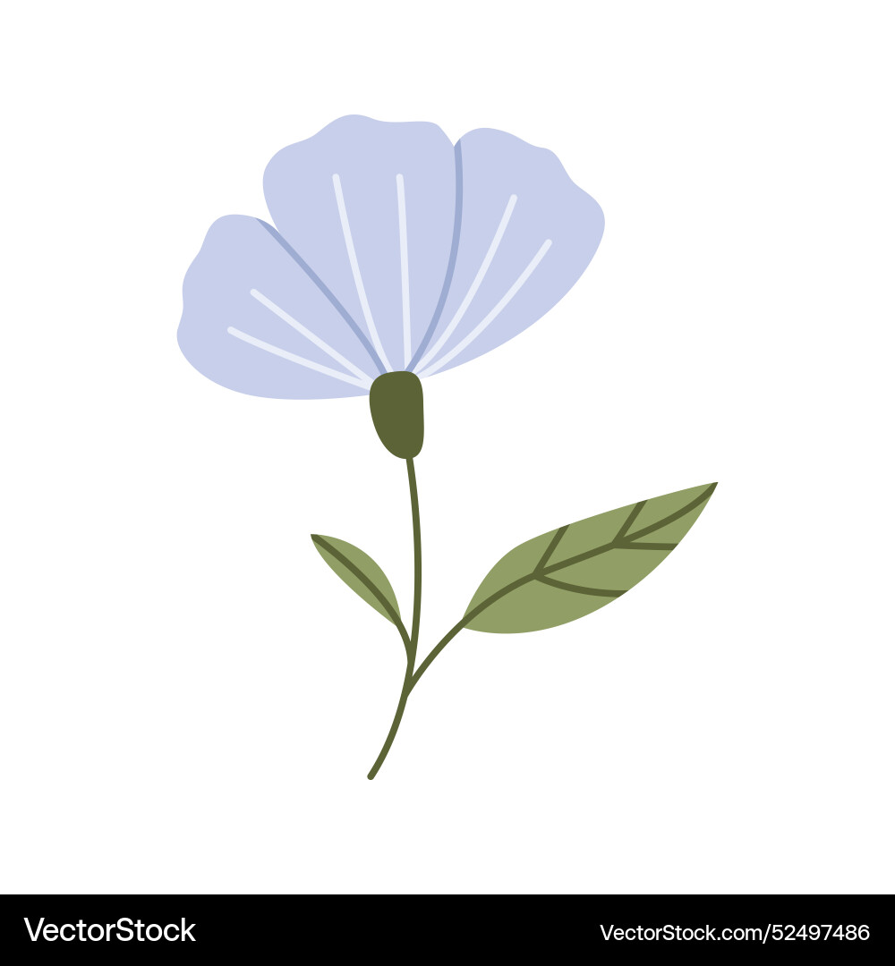 Gentle wild flower Royalty Free Vector Image - VectorStock