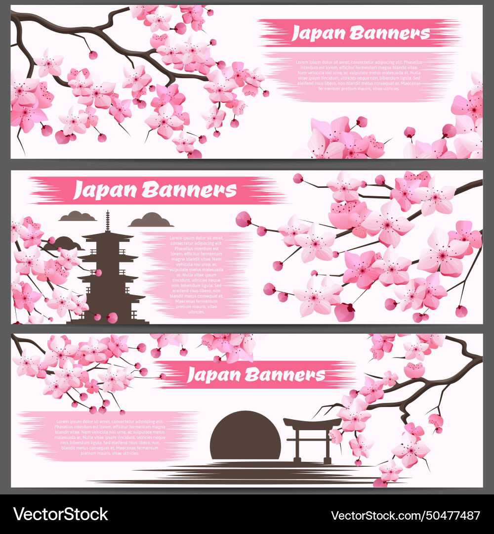 Horizontal banners with blooming sakura branches Vector Image