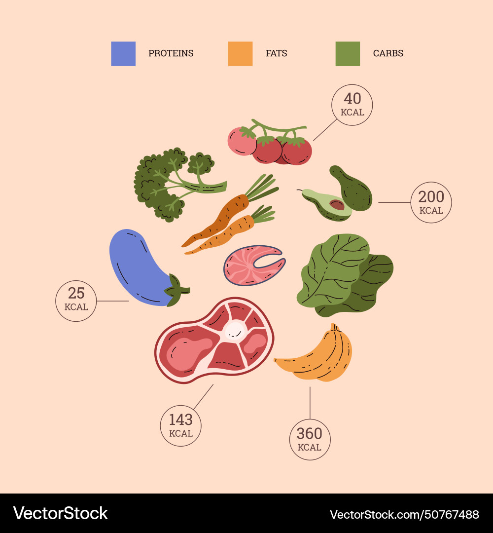 Counting calories infographics analysis Royalty Free Vector