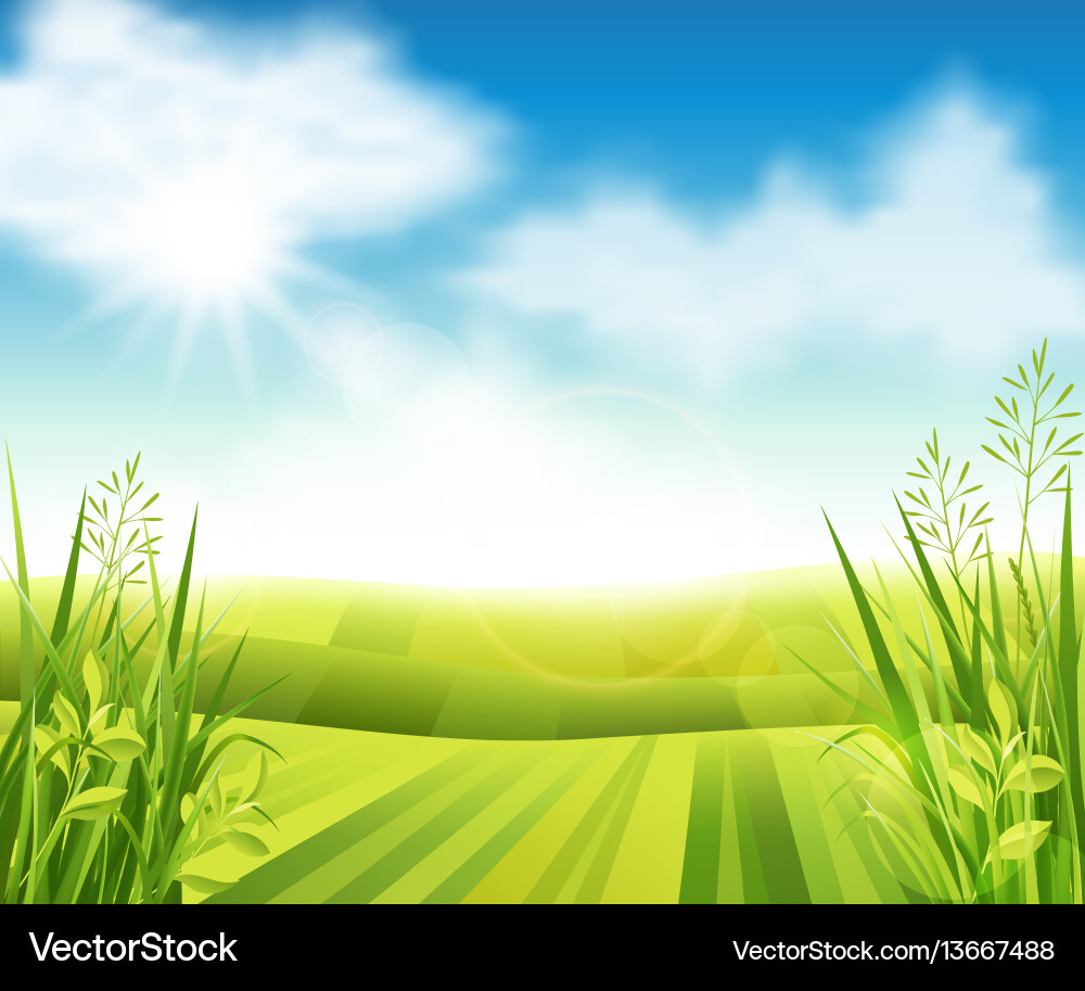 Wallpapers Green Farm Scenery Green Agriculture Background Images