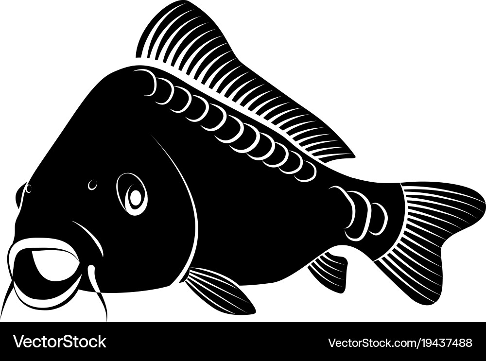 Isolated carp fish - clip art Royalty Free Vector Image