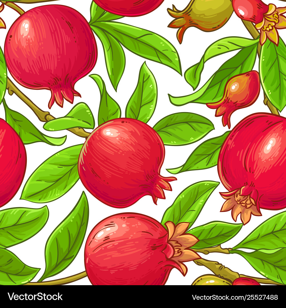 Pomegranate pattern Royalty Free Vector Image - VectorStock