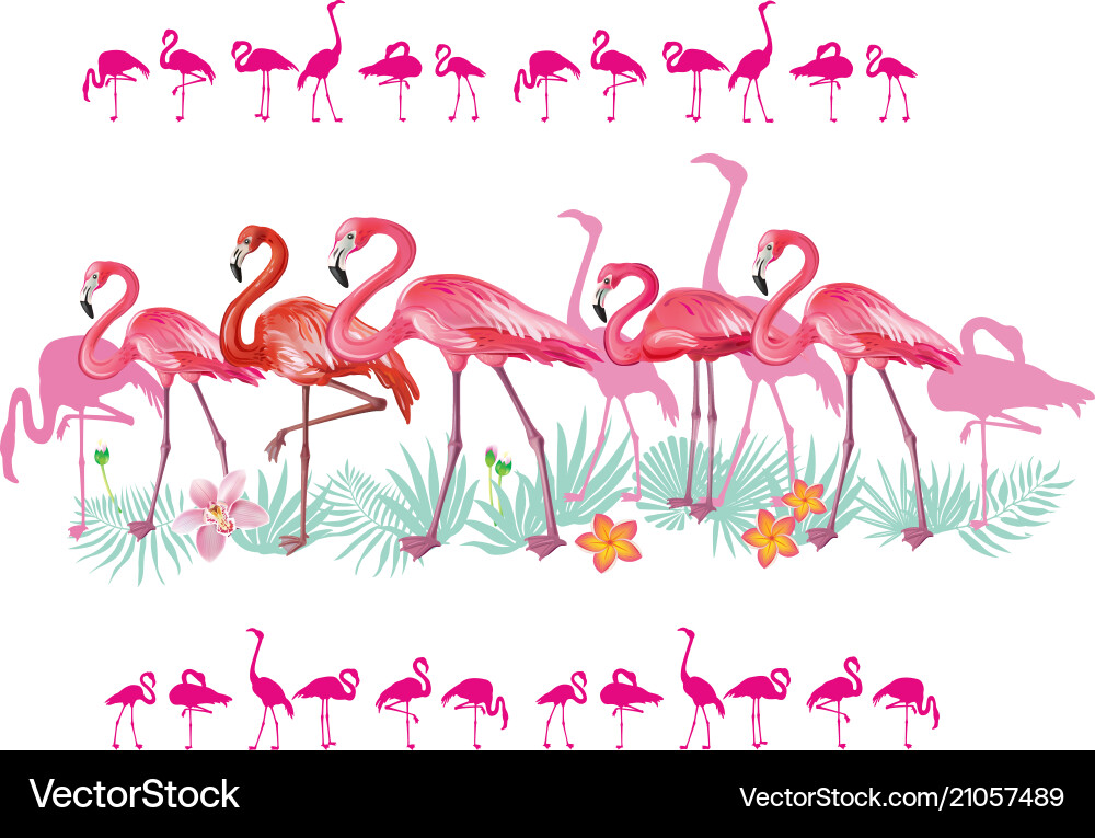 Border with flamingoes and tropical leaves Vector Image