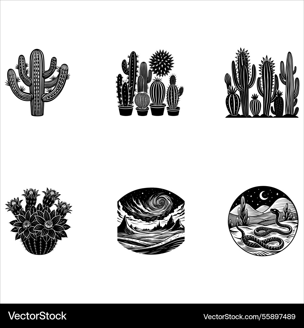 Cactus Royalty Free Vector Image - VectorStock