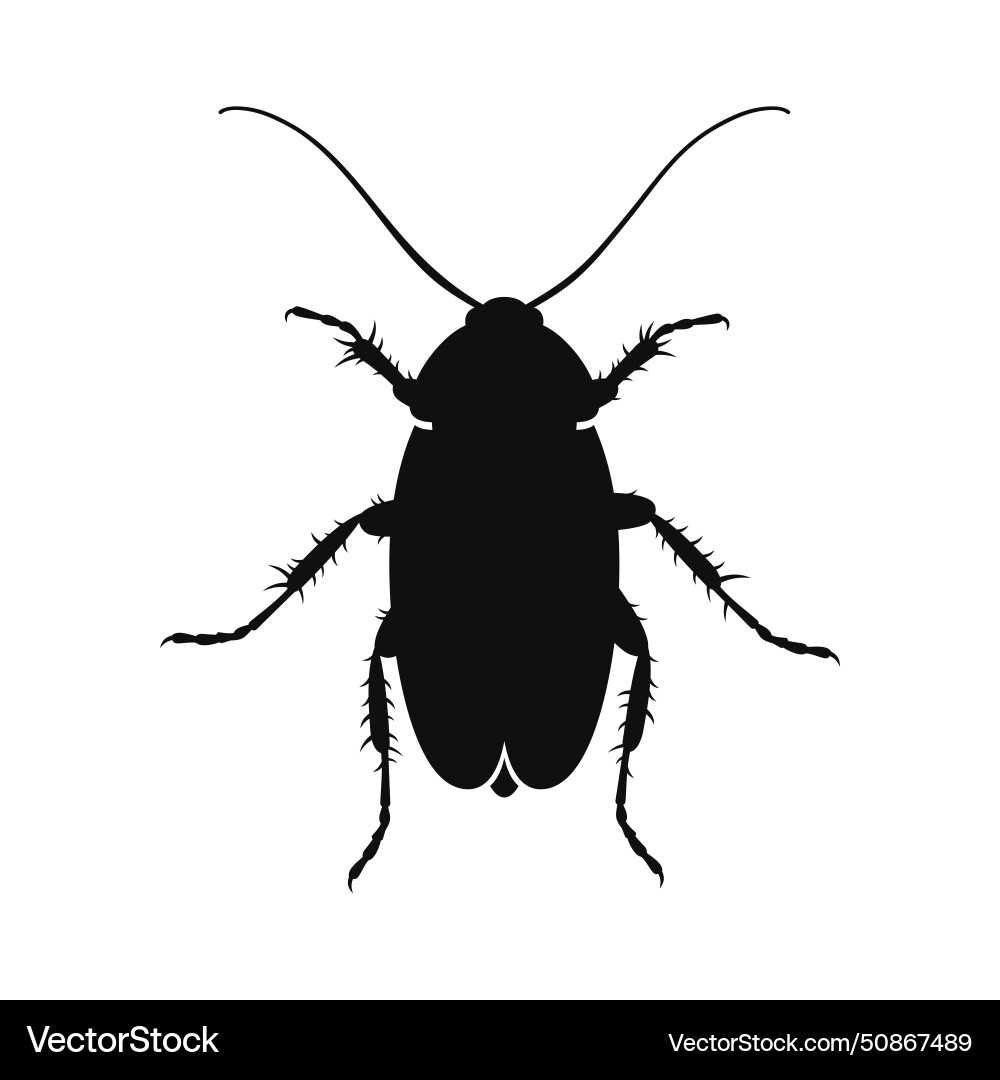 Cockroach icon on white background Royalty Free Vector Image