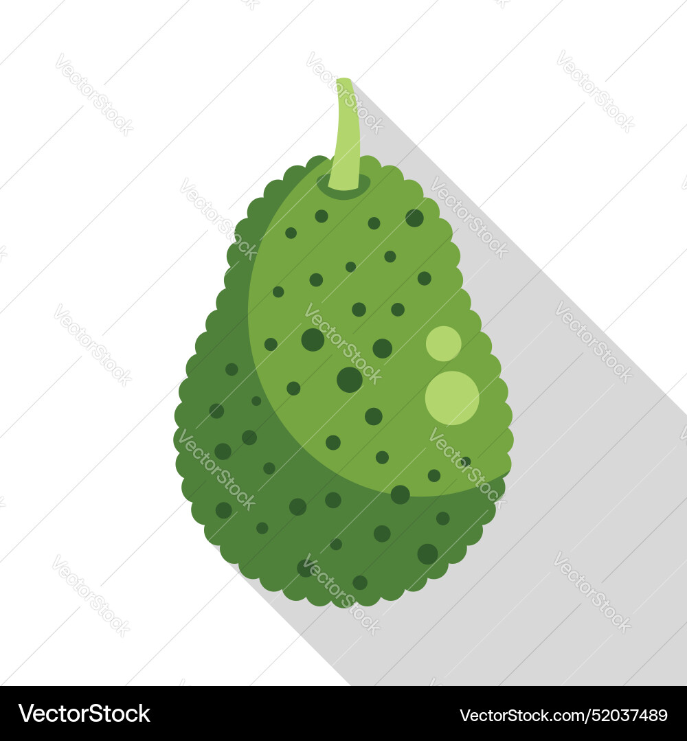 Green soursop fruit casting shadow tropical Vector Image