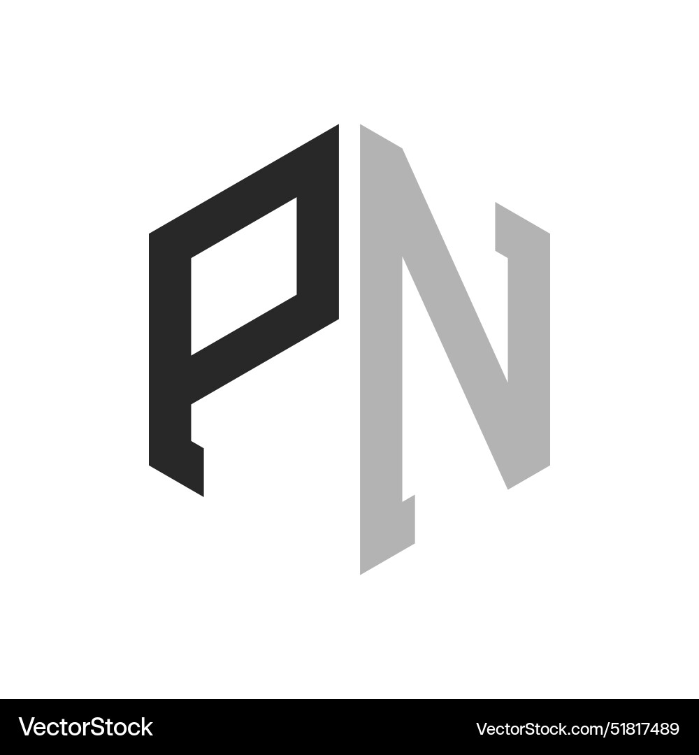Modern unique hexagon letter pn logo design Vector Image