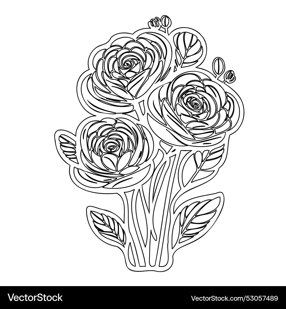 Ranunculus flower plant sketch outline Royalty Free Vector