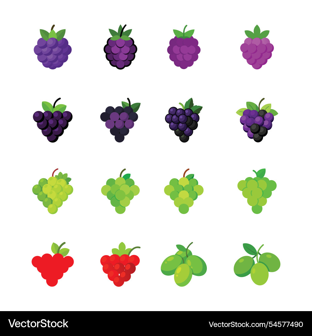 Cherry raspberry blueberry blackberry strawberry Vector Image