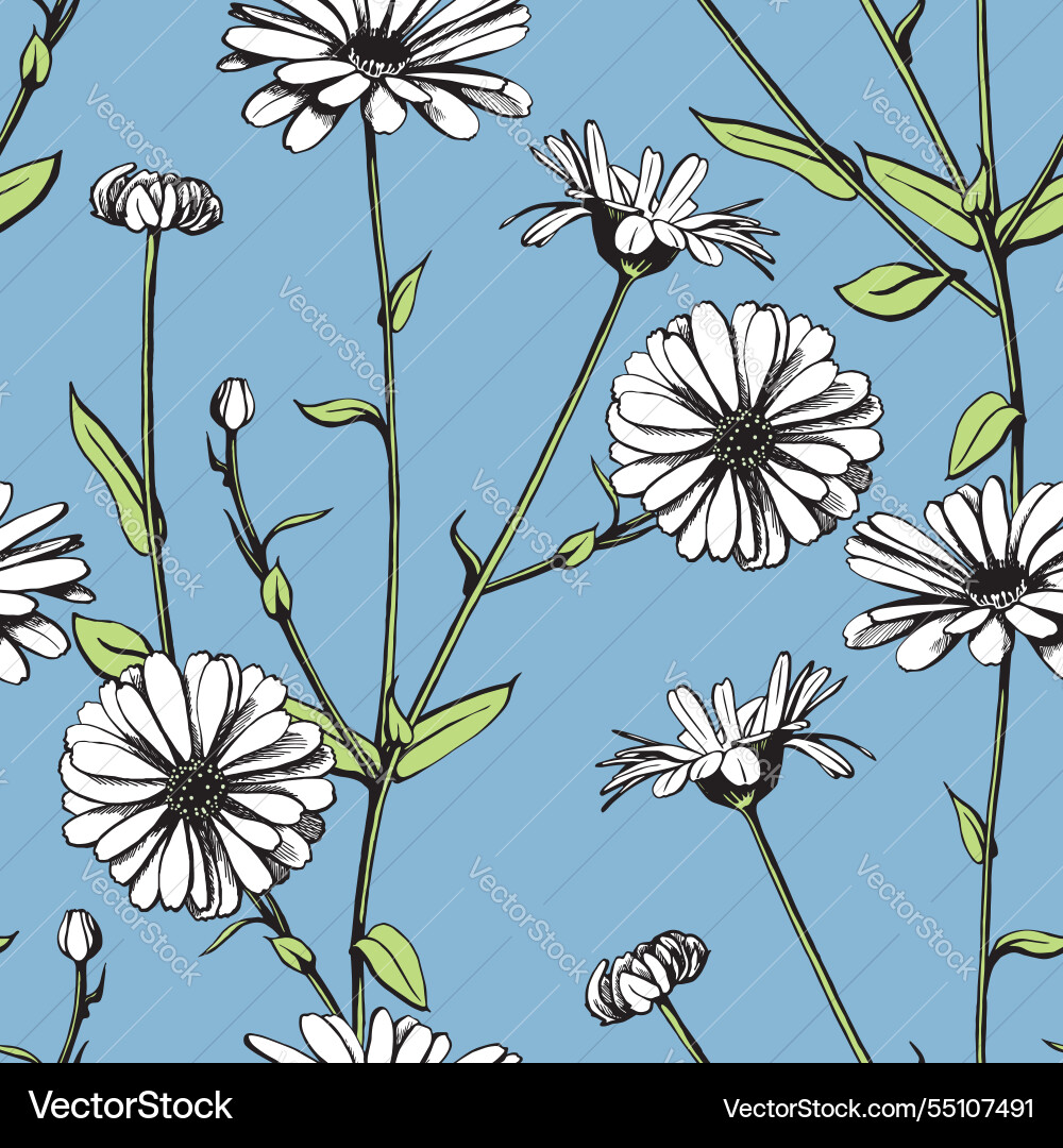 Hand drawn chamomile flowers seamless pattern Vector Image