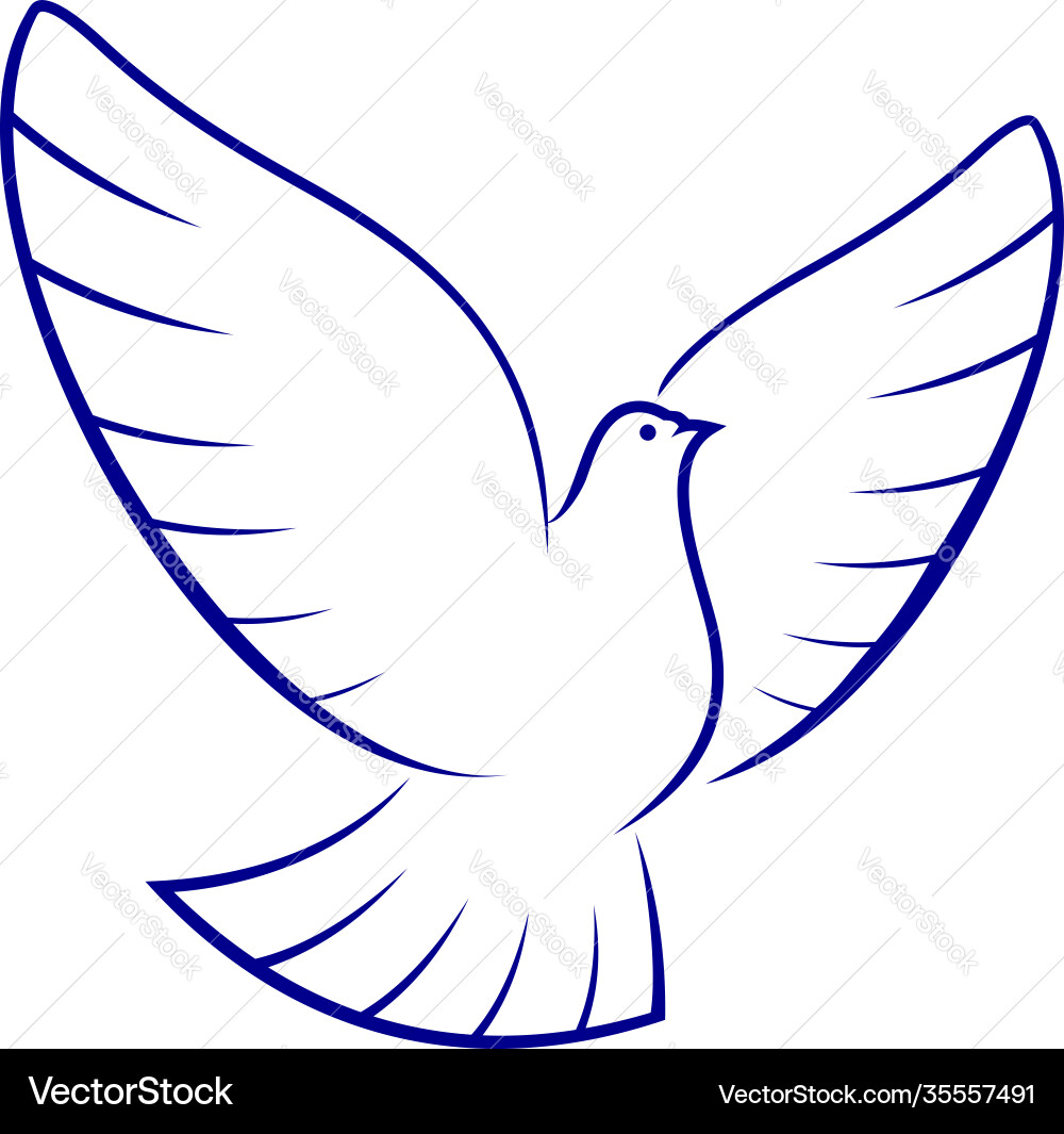 Heilige Taube Symbol des Friedens Lizenzfreies Vektorbild