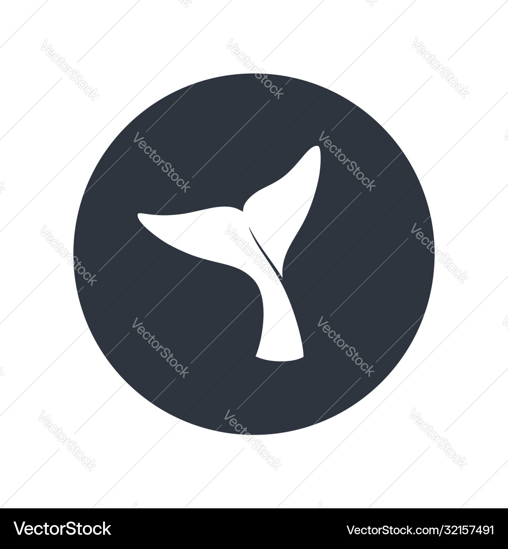 Whale white Royalty Free Vector Image - VectorStock