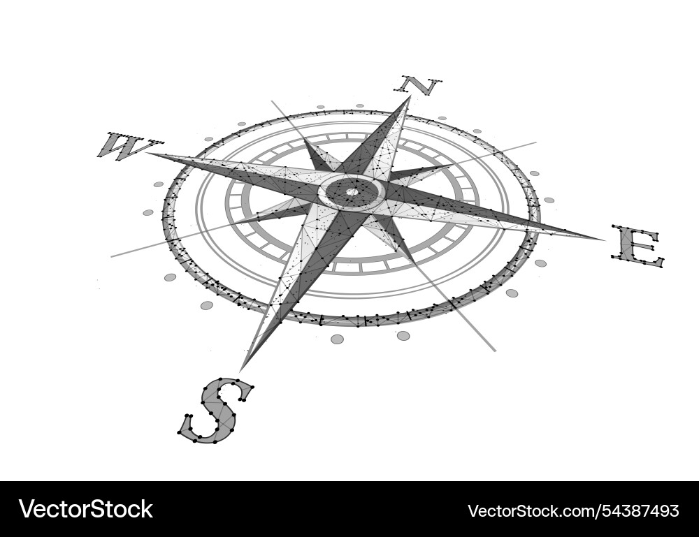 Digital compass business strategic explorer Vector Image