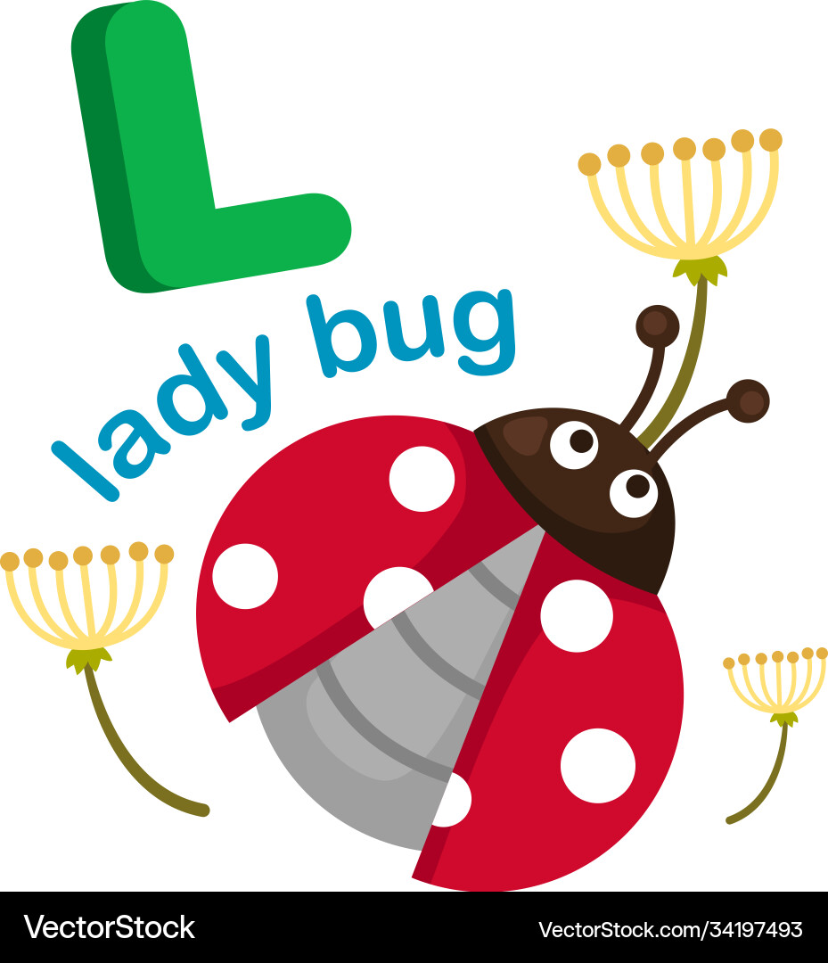 Isolated alphabet letter l ladybug Royalty Free Vector Image