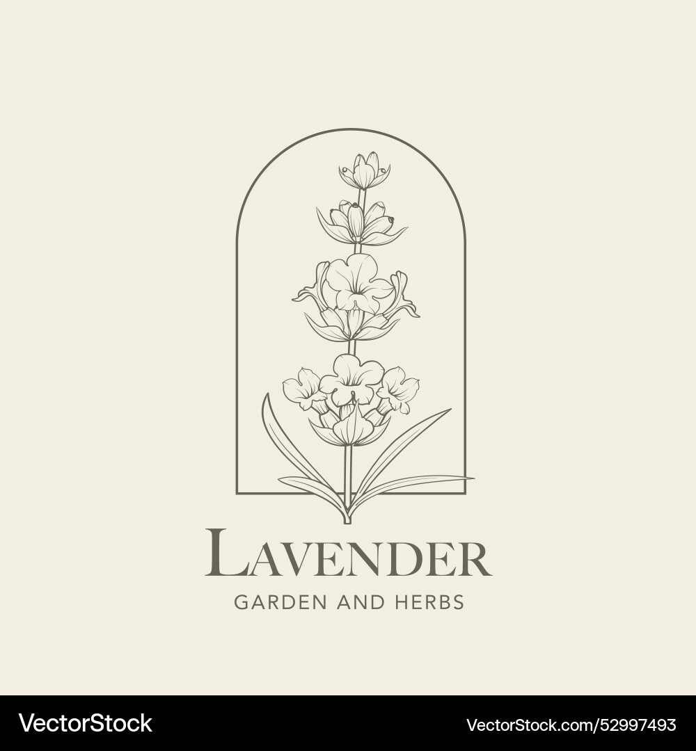 Lavender flower logo floral design label Vector Image