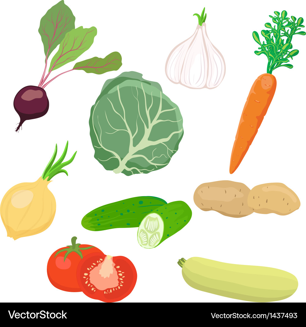 Vegetable set Royalty Free Vector Image - VectorStock