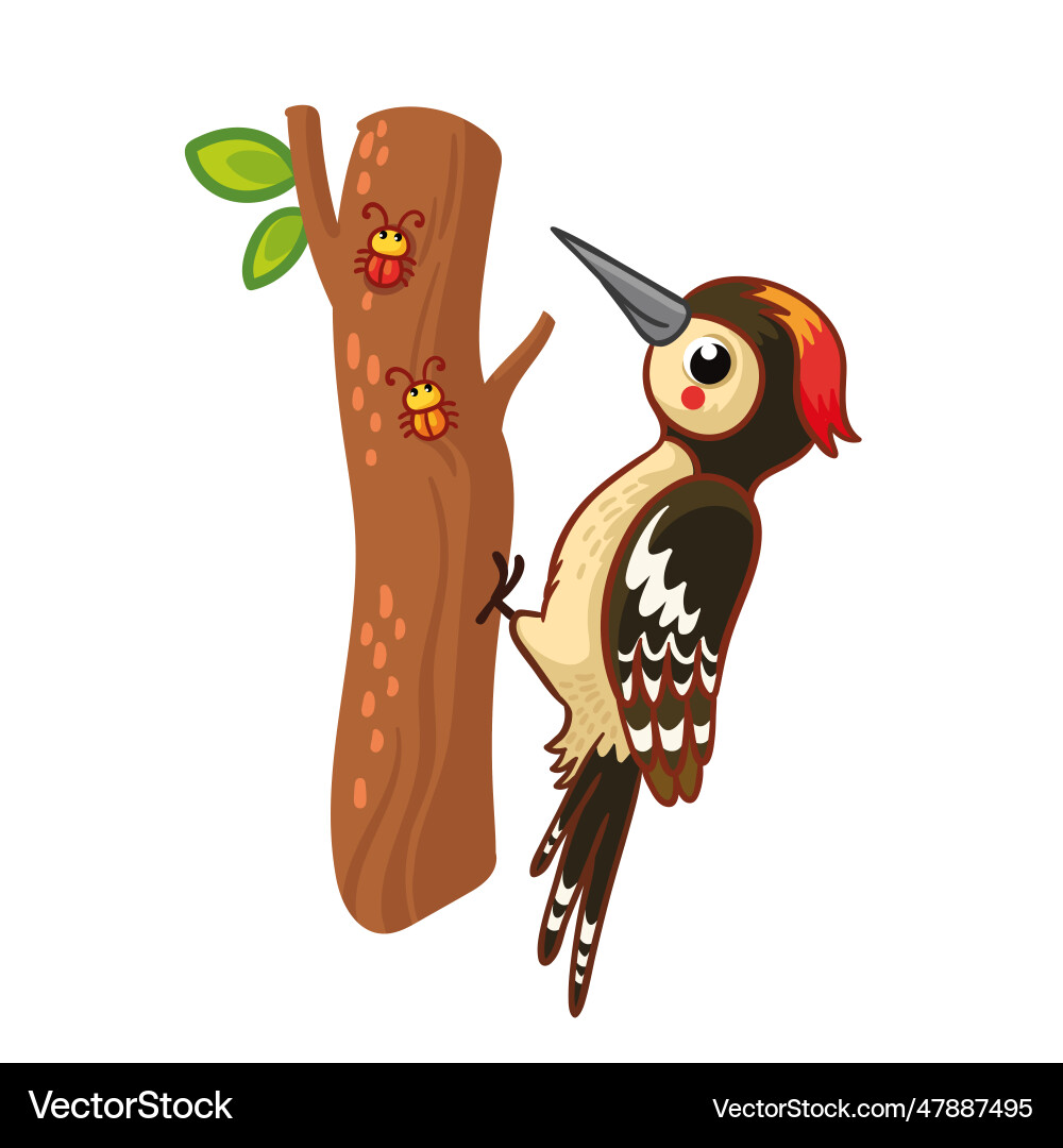 Cute woodpecker sits on a tree beautiful Vector Image