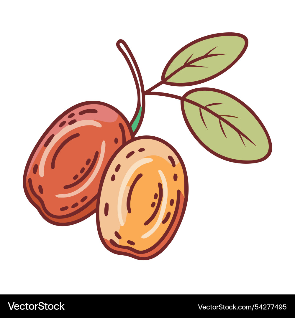 Jujube icon fruits Royalty Free Vector Image - VectorStock