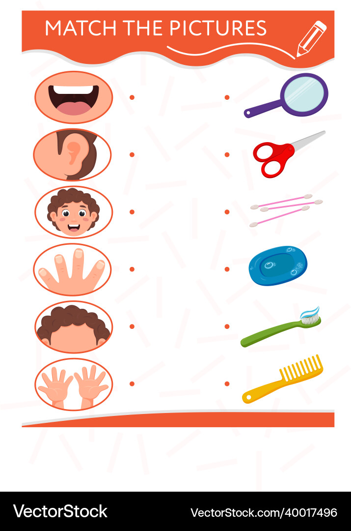 Body Part & Hygiene Matching Game Royalty Free Vector