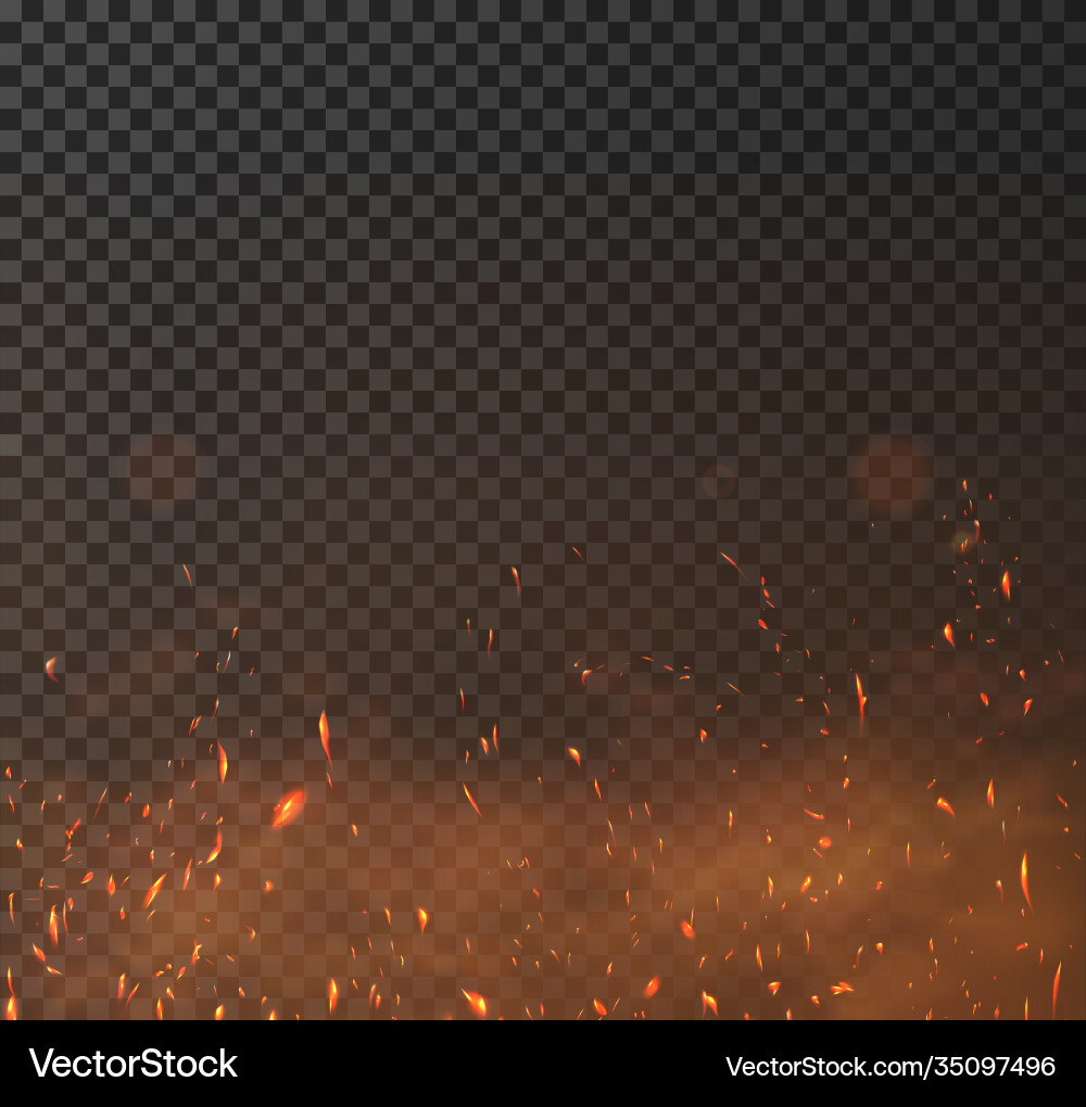 Sparkes effect Royalty Free Vector Image - VectorStock