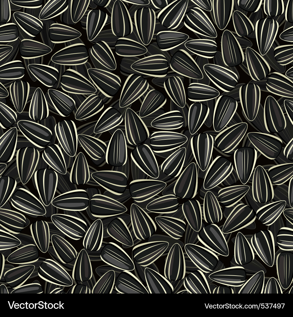 Sunflower seeds seamless background Royalty Free Vector