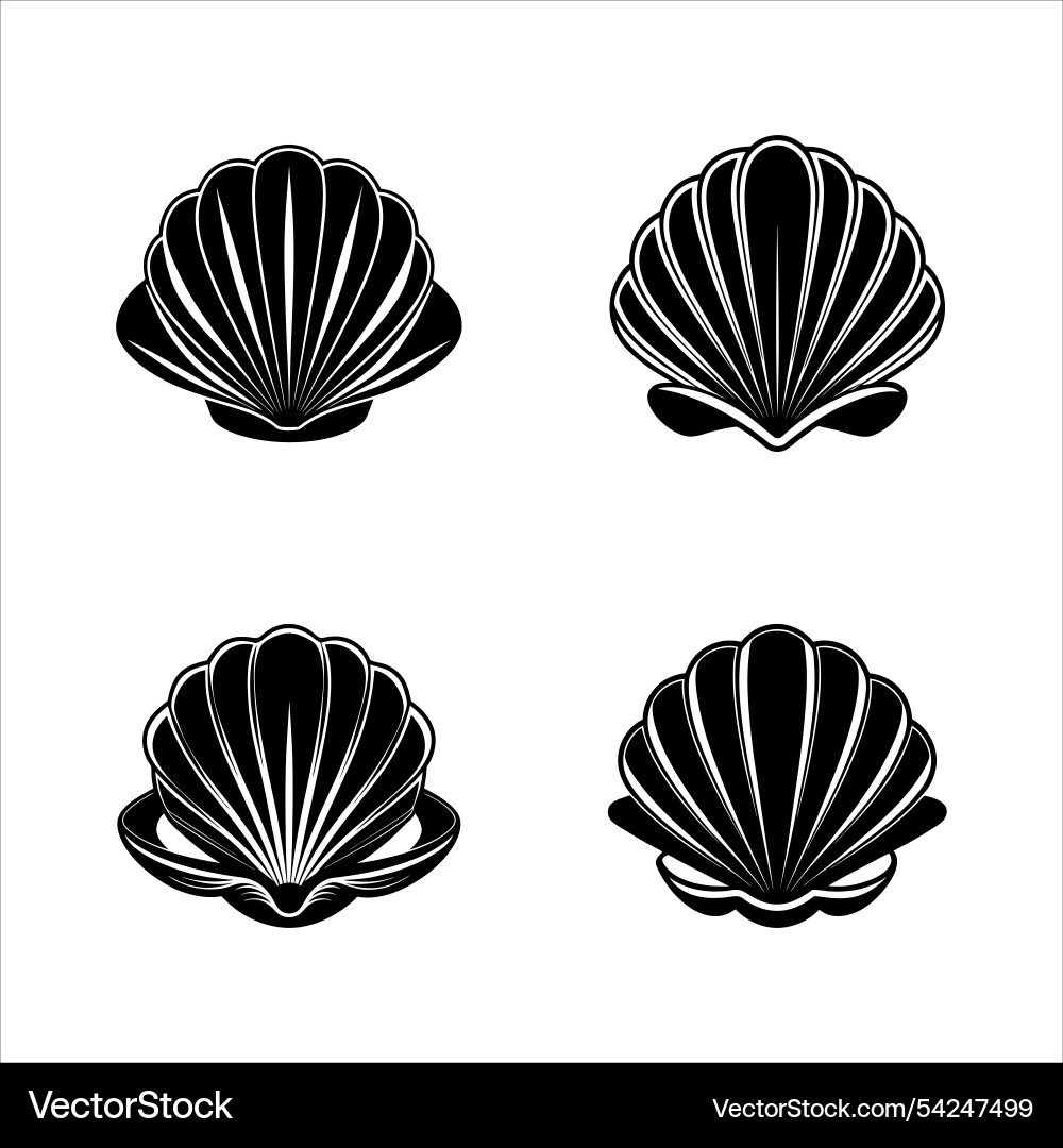 Clam svg Bild Lizenzfreies Vektorbild - VectorStock