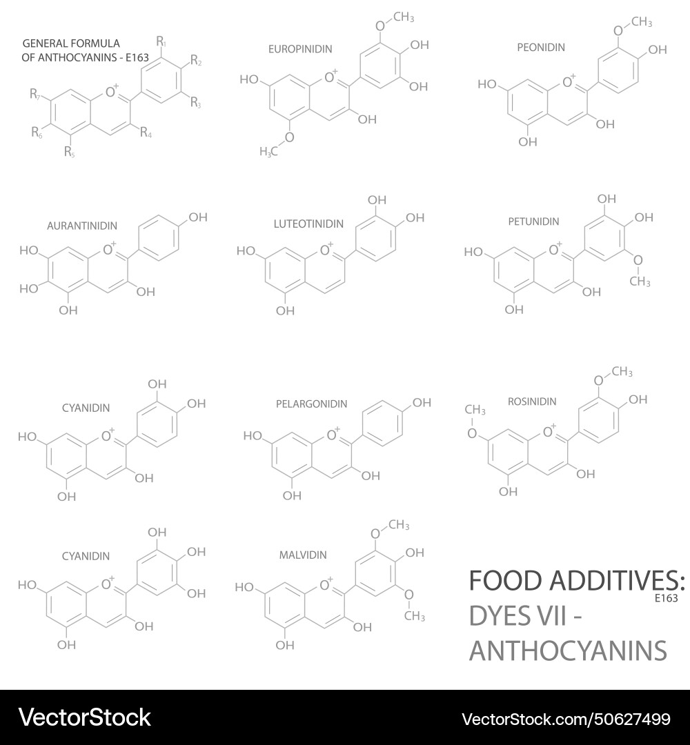Endorphins molecular skeletal chemical formula Vector Image