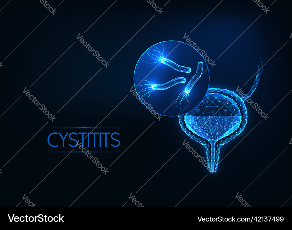 Futuristic urinary tract infection cystitis Vector Image