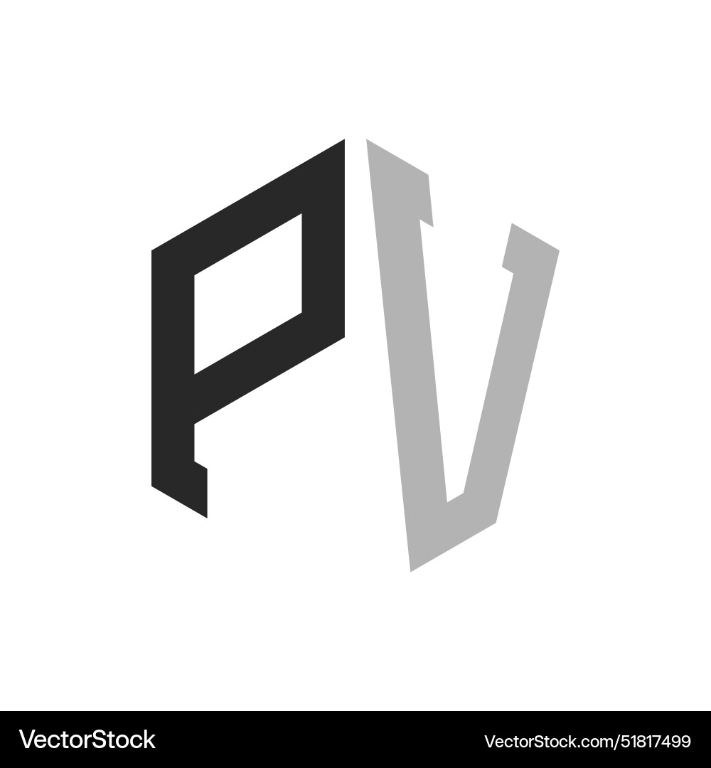 Modern unique hexagon letter pv logo design Vector Image