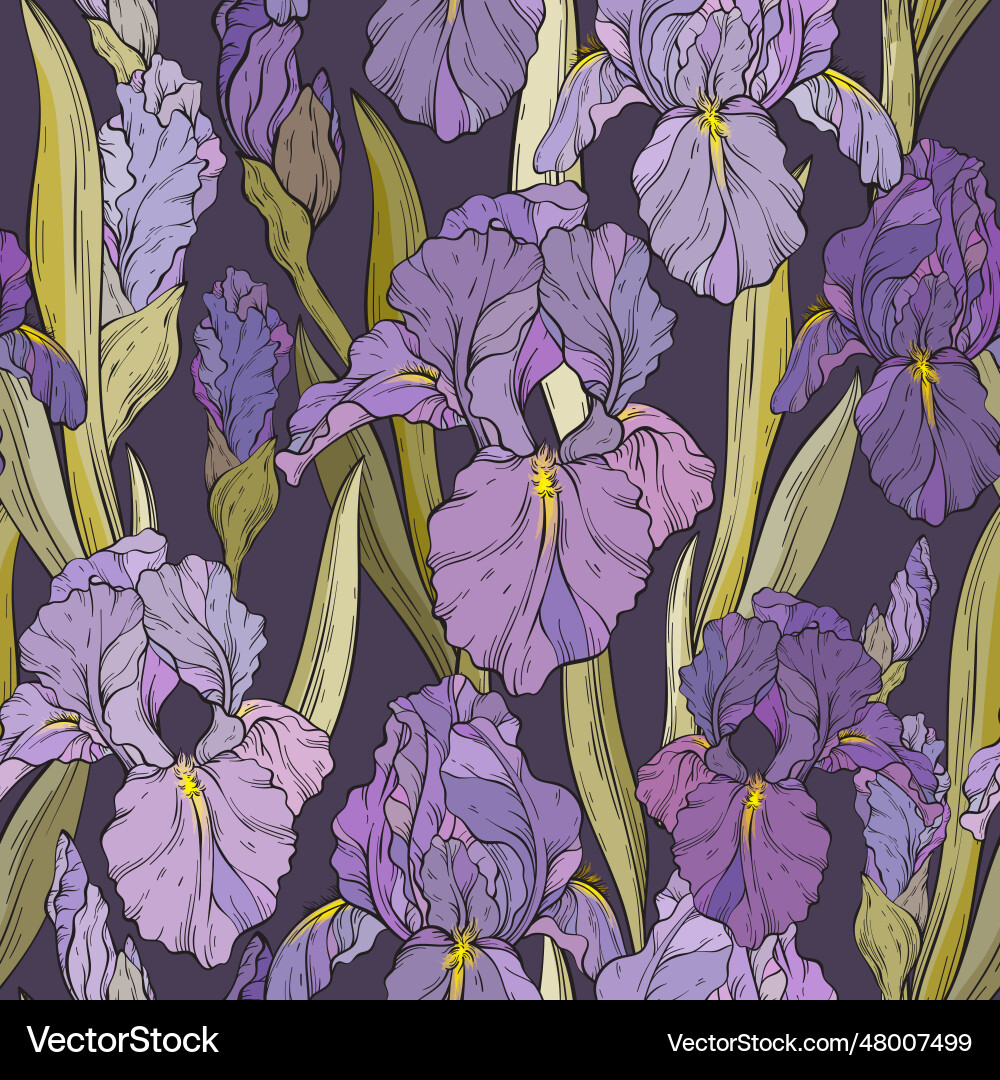 Pattern with iris flowers dark background Vector Image