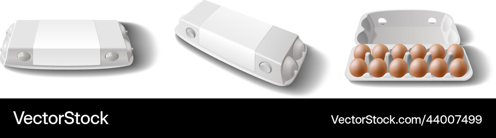 Realistic eggs packages Royalty Free Vector Image