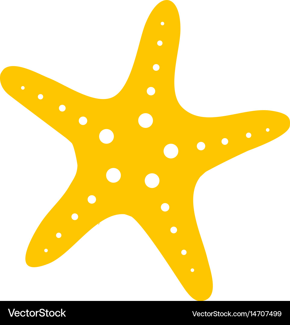 Star fish Royalty Free Vector Image - VectorStock