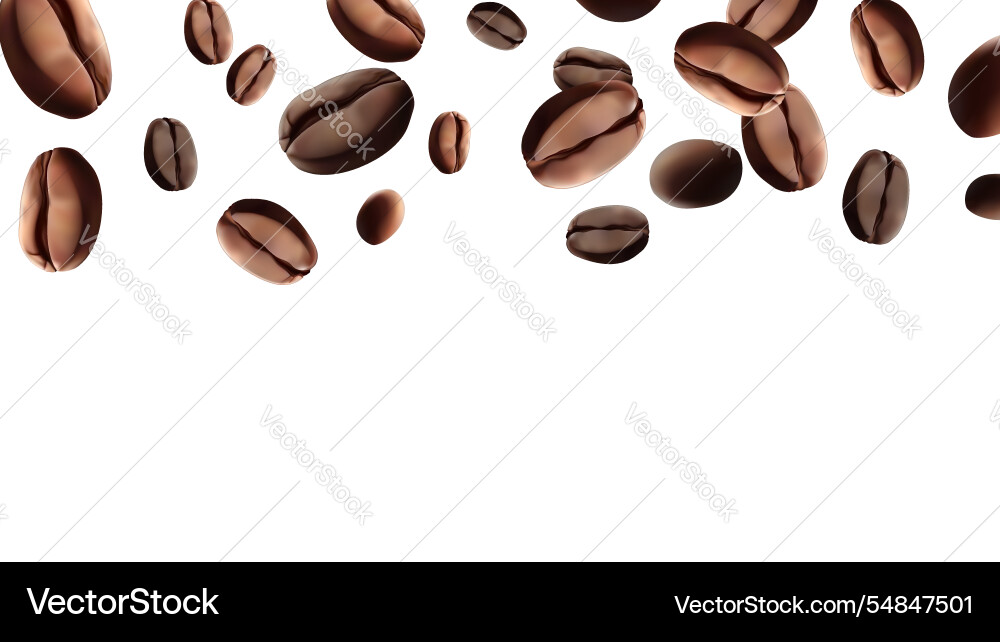 Coffee beans falling 3d realistic Royalty Free Vector Image
