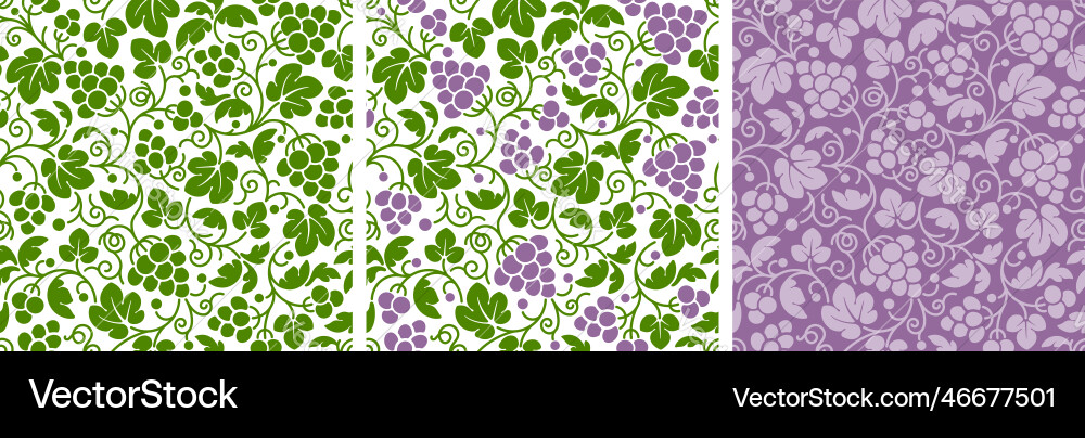 Grapevine Pattern Set Royalty Free Vector Image