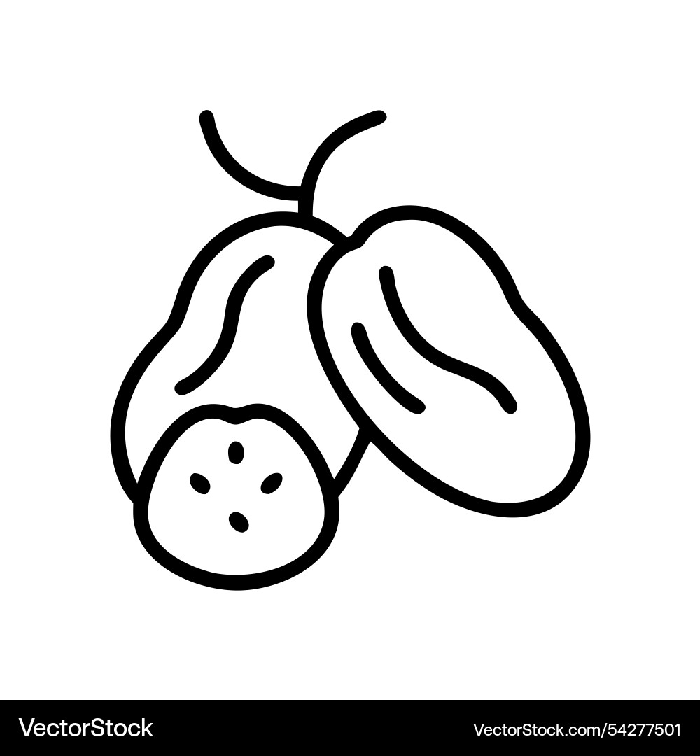 Jujube icon fruits Royalty Free Vector Image - VectorStock