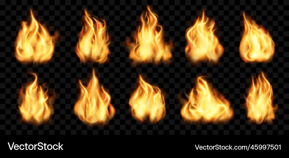 Realistic fire burn effect with red flare torch Vector Image