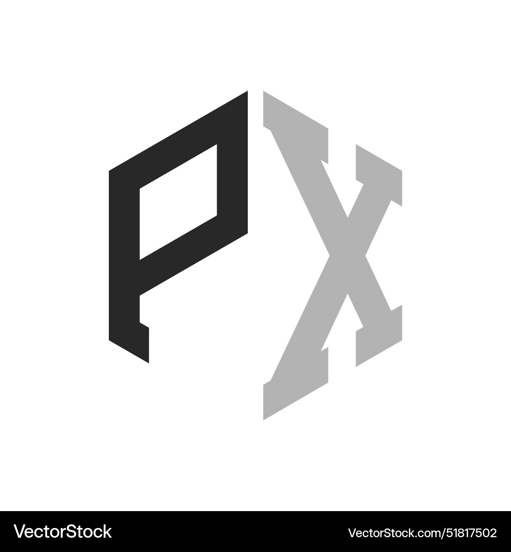 Modern unique hexagon letter px logo design Vector Image