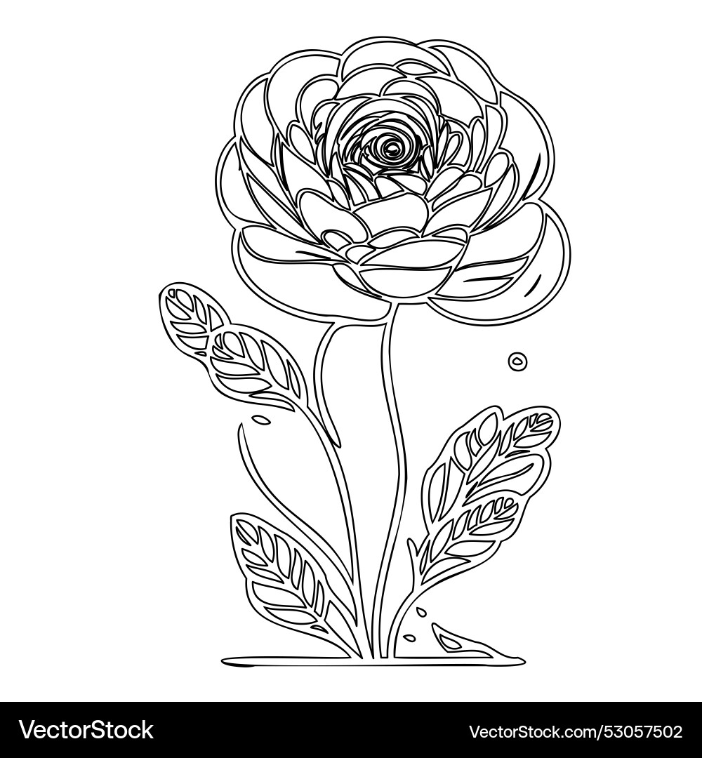 Ranunculus flower plant sketch outline Royalty Free Vector