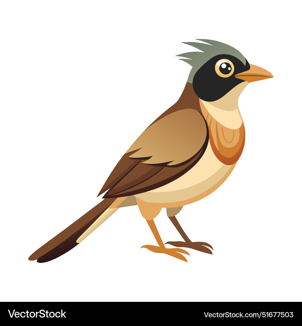 Bulbul Logo Bulbul Identity Design (22) | Images :: Behance