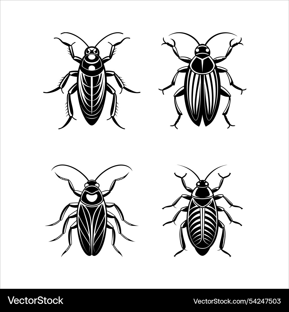 Cockroach svg Royalty Free Vector Image - VectorStock