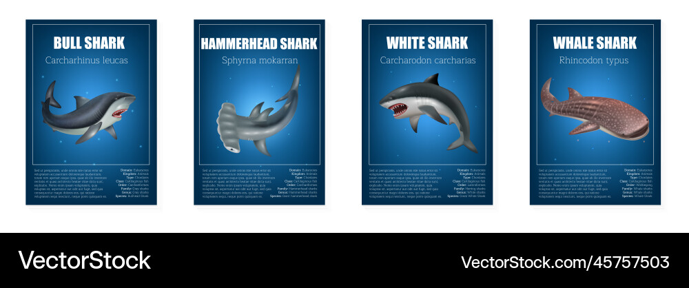 Shark poster set Royalty Free Vector Image - VectorStock