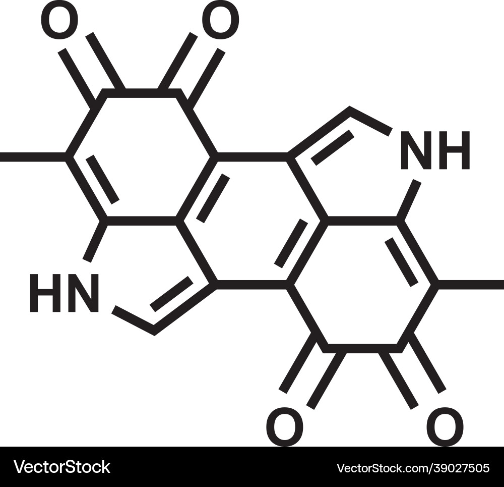 Melanin chemistry Royalty Free Vector Image - VectorStock