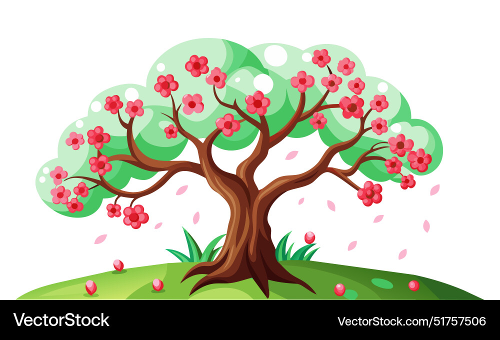 Cherry tree isolated flat on white background Vector Image