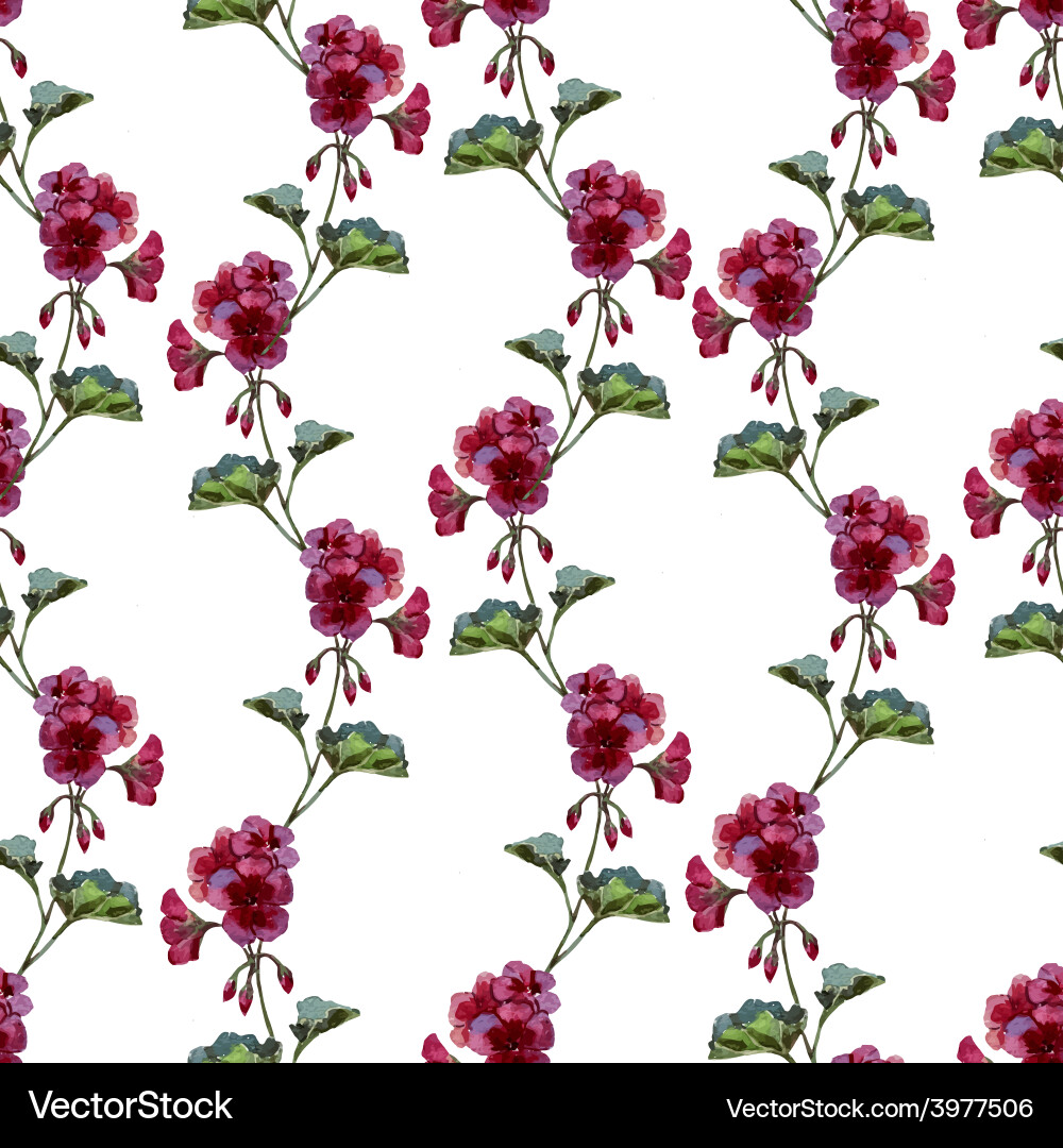 Geranium pattern Royalty Free Vector Image - VectorStock